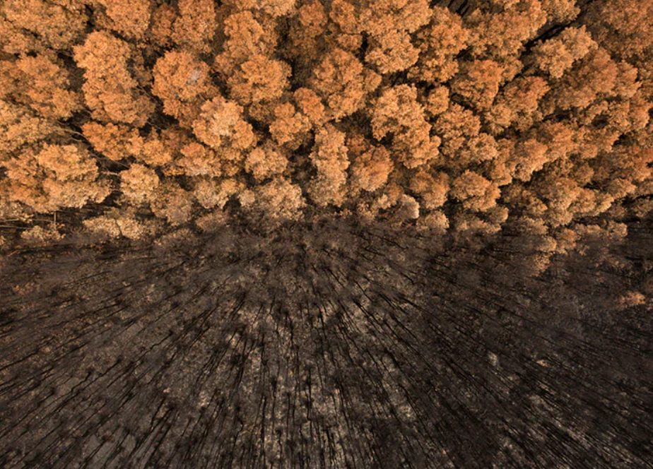 The Art of Capturing the Perfect Landscape Photographic Prints | Craig ...