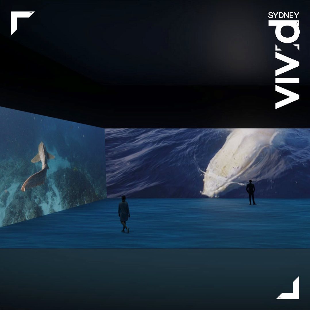 Craig Parry Photography at Vivid Sydney | Craig Parry Photography