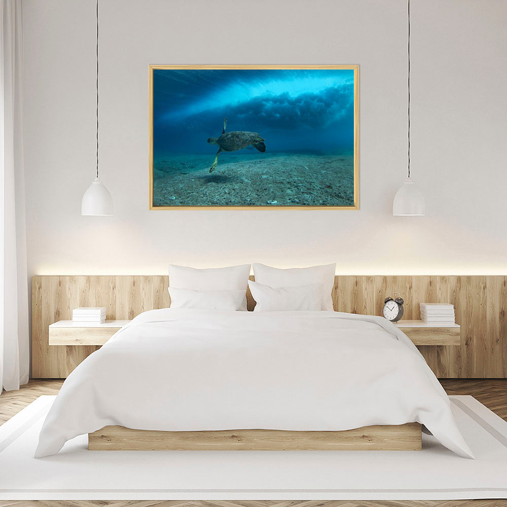 Surfing Turtle | Hawaii – Wildlife Photography – Craig Parry Photography